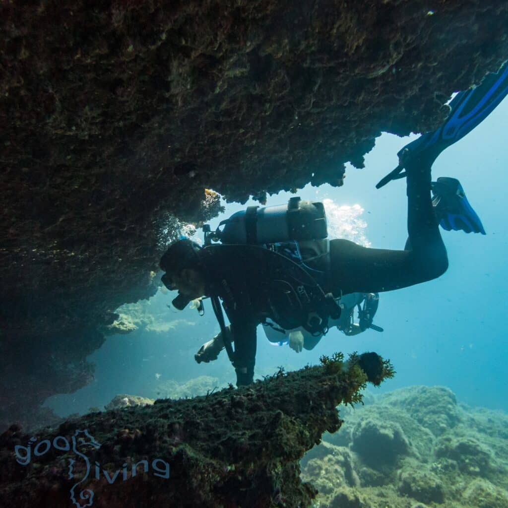 Exclusive Dives in Tenerife - GooDiving